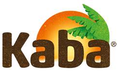 Digitalprojekte und Erfolgsgeschichten | Friendventure